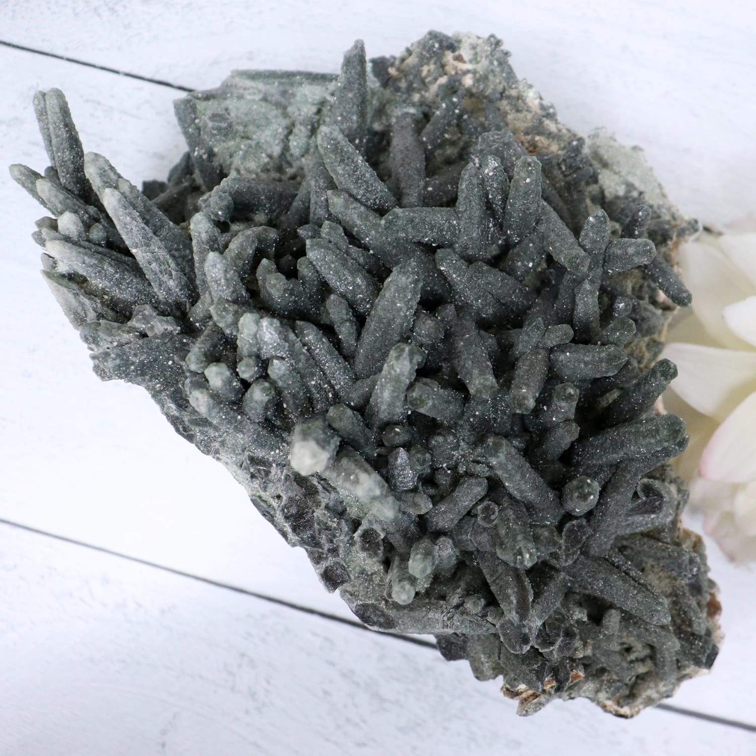 Hedenbergite Stone of Transition, Healing Crystal, Sage Crystals