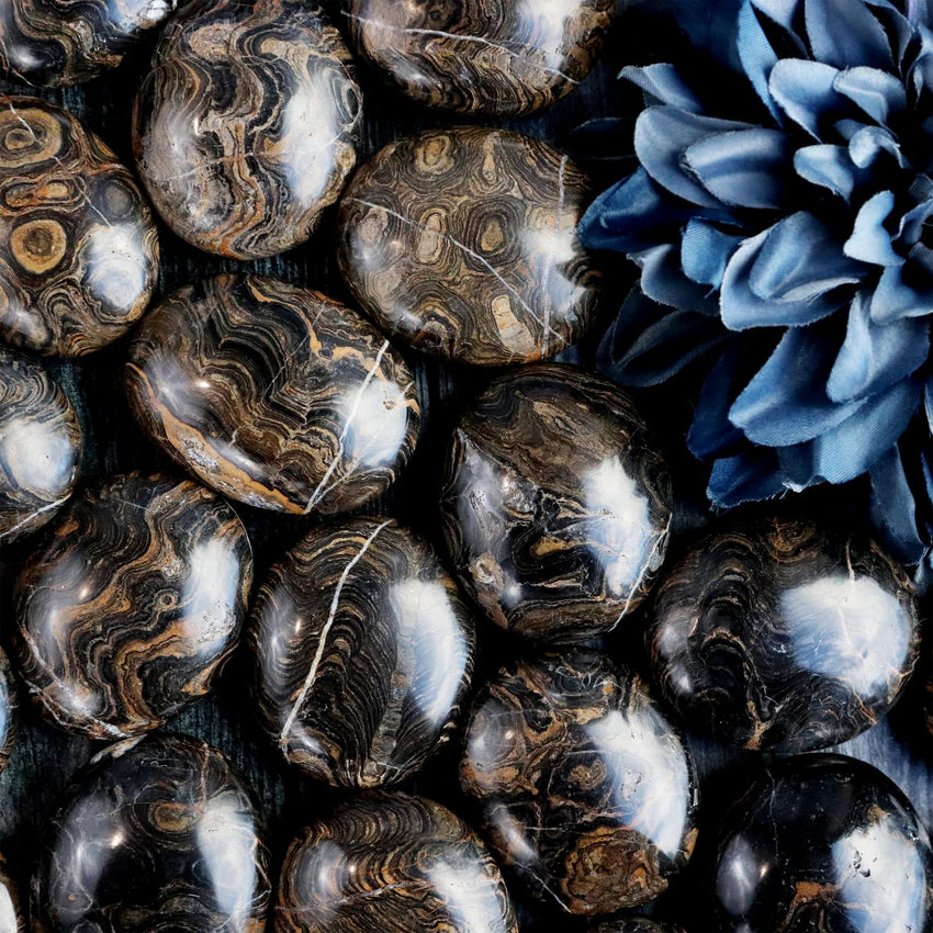 Stromatolite Healing Crystal Properties, Stromatolites Sage Crystals