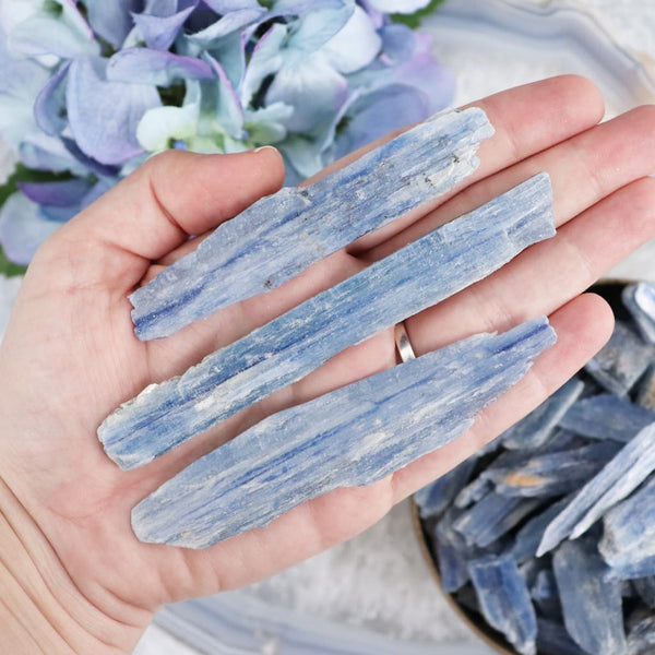 Crystals - Blue Kyanite Blade Crystals - Blue Kyanite Blade – Sage Crystals